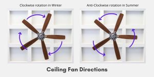 Ceiling Fan Directions for Summer vs Winter [Infographic]