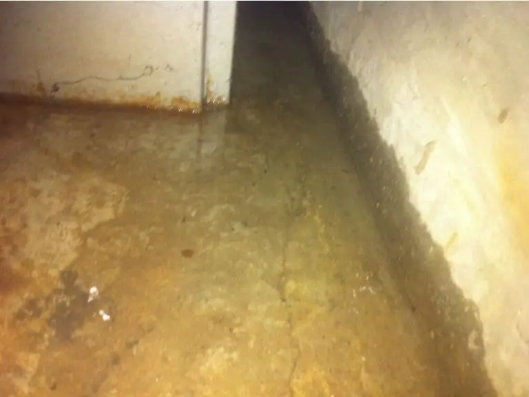 How to Dry Out a Basement & How to Keep it Dry